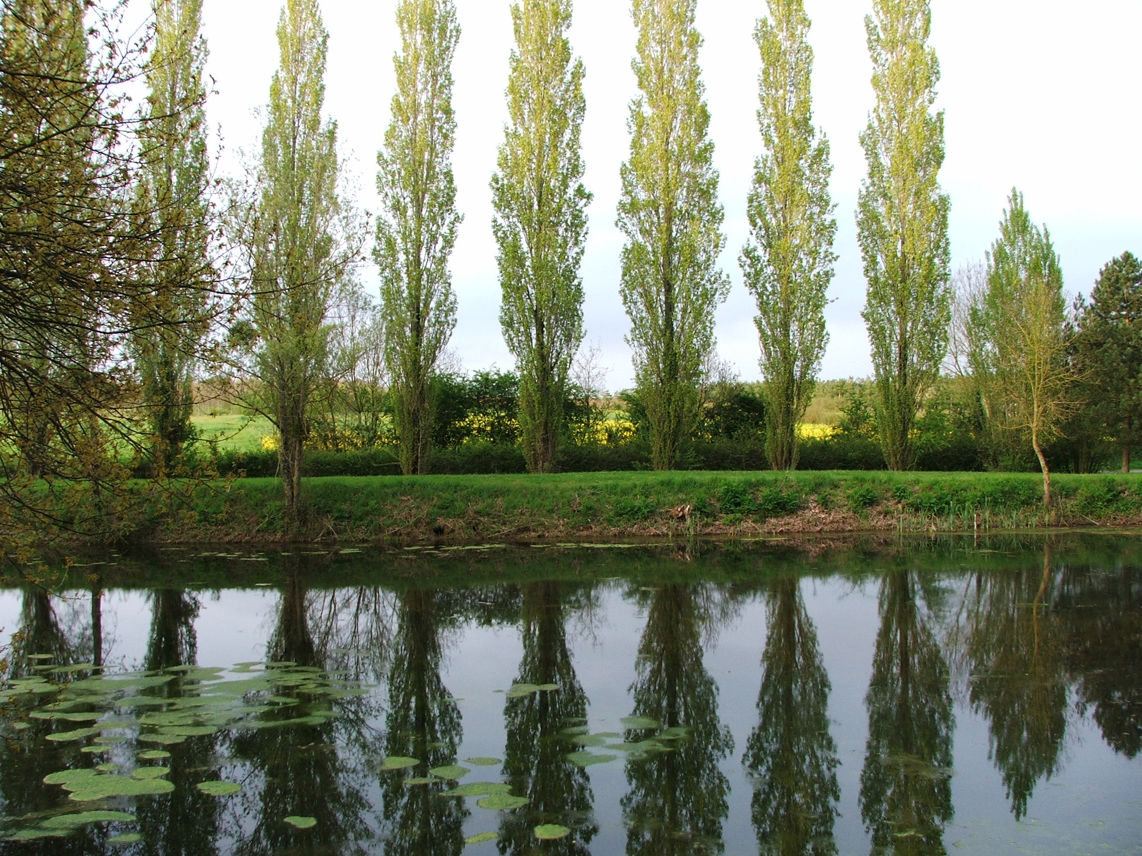 Guilty Pleasures: A Photographic Love Affair With Trees - The Haunted ...